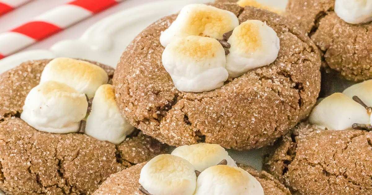 Best Hot Chocolate Cookies - To Simply Inspire
