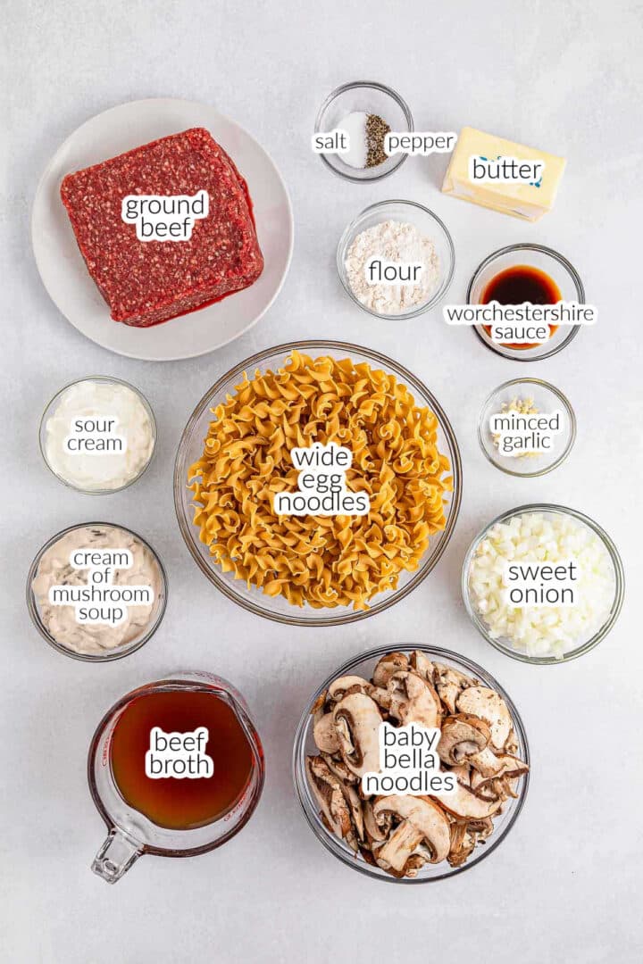 Easy Ground Beef Stroganoff Recipe - To Simply Inspire