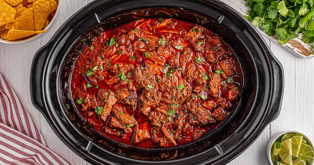 Easy Slow Cooker Birria Recipe - To Simply Inspire