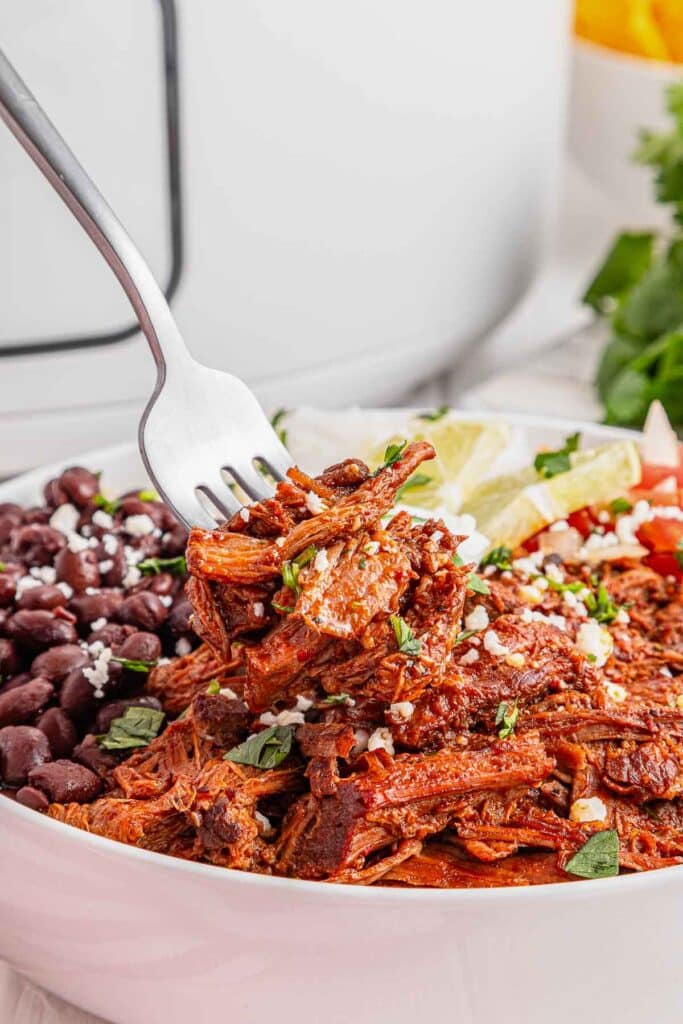 Easy Slow Cooker Birria Recipe - To Simply Inspire