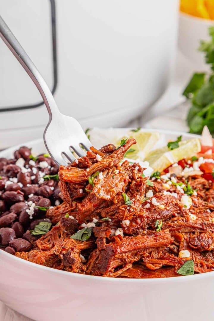 Easy Slow Cooker Birria Recipe - To Simply Inspire